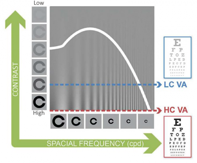 Measuring Total Visual Experience – EyeSite