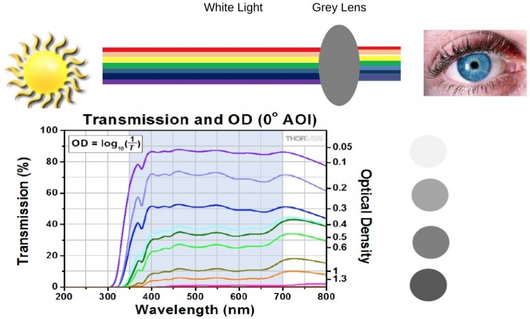 Tints and Filters and their Uses – EyeSite